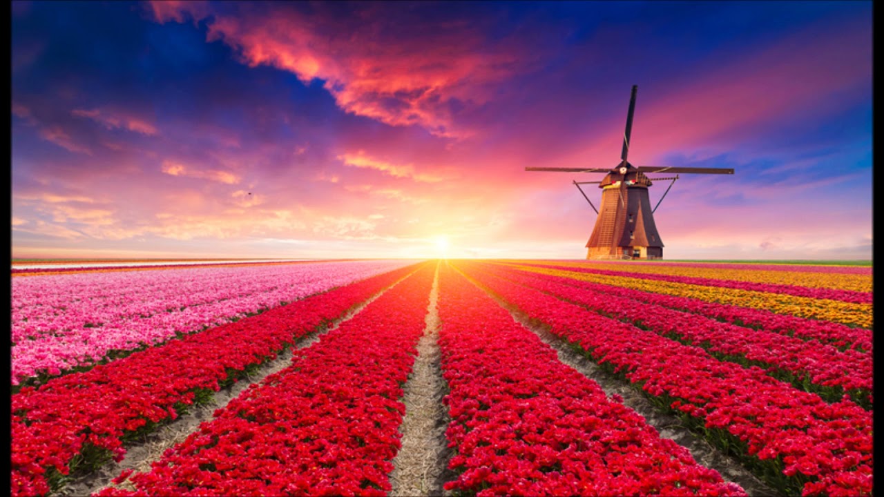 Die Tulpe - Gedicht, erzählt von Juri, 8 Jahre - YouTube