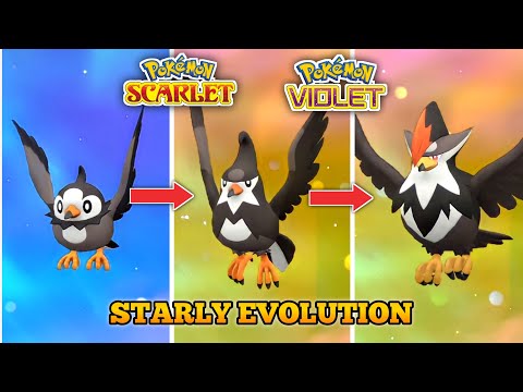 Staravia Evolution Chart