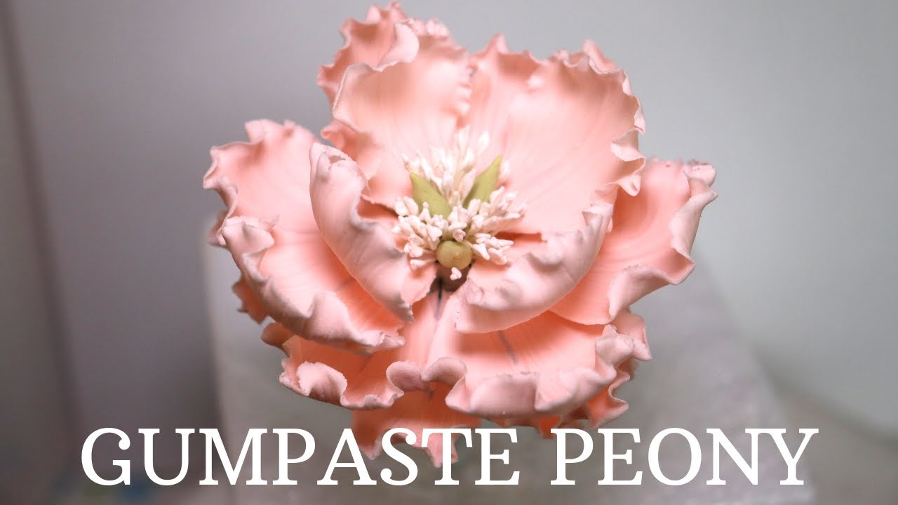Gumpaste Peony Flowers Tutorial | Best Flower Site