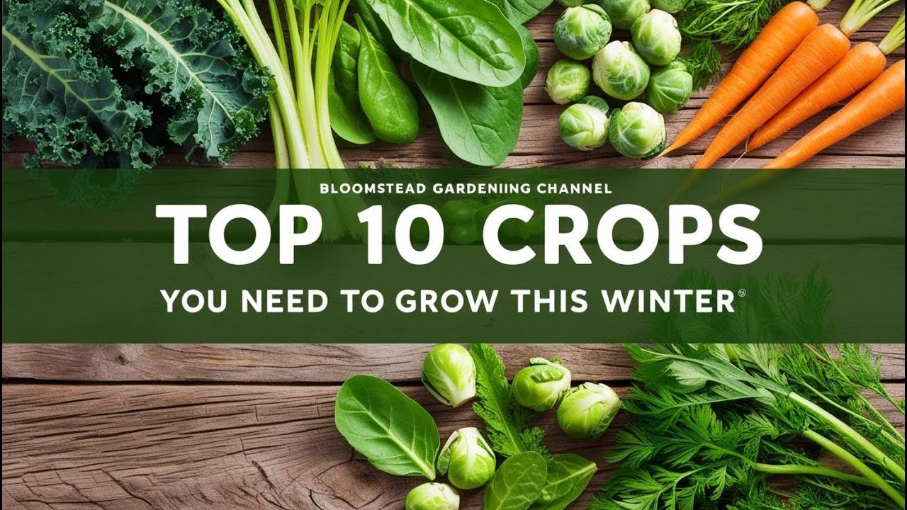 Top 10 Crops That You Need To Grow This Winter - YouTube