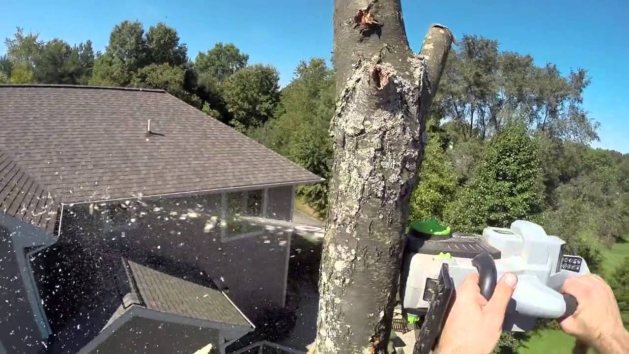 EGO 56 volt Power Plus Chainsaw Pro Review - YouTube