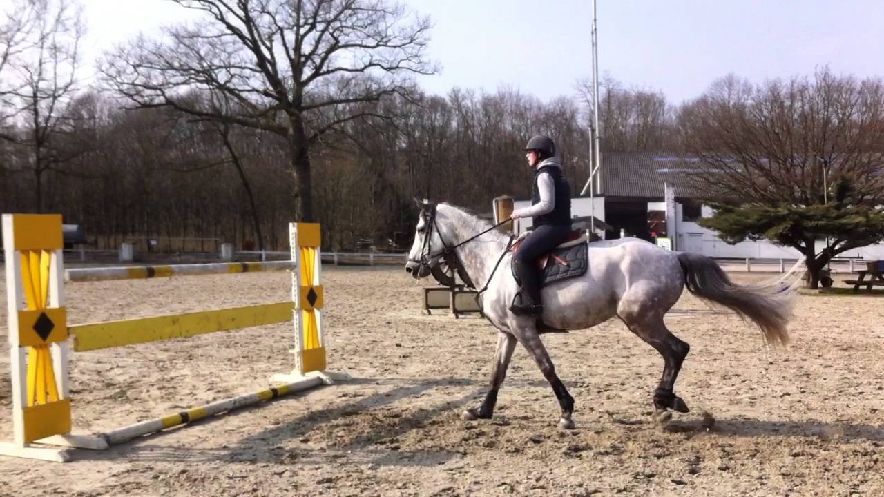 Gloria training - YouTube