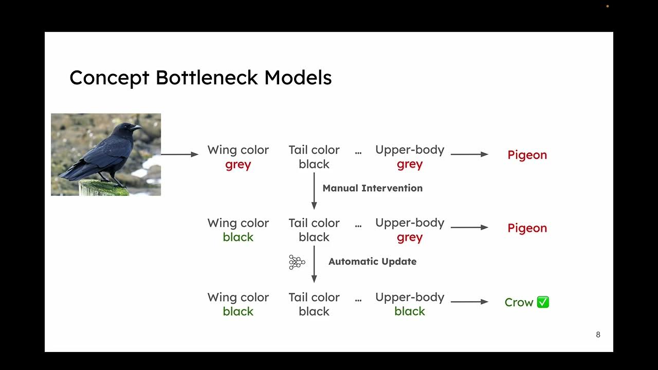 ECCV 2024: Improving Intervention Efficacy via Concept Realignment in Concept Bottleneck Models ...