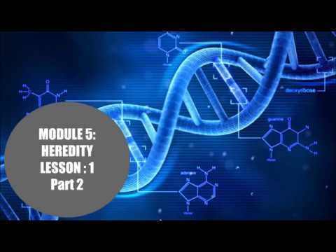 Module 5 Lesson 1 Part 2 - YouTube