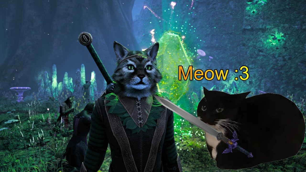 Kitty cat souls like game is really fun - YouTube
