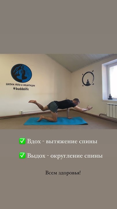 Самое безопасное упражнение для укрепления спины Youtube