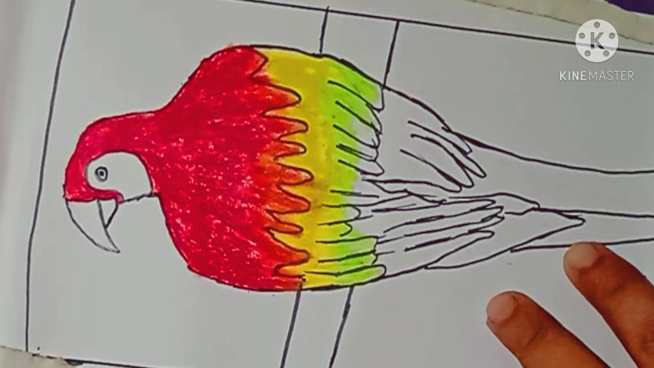 How to draw a Macaw(Scarlet Macaw) - YouTube