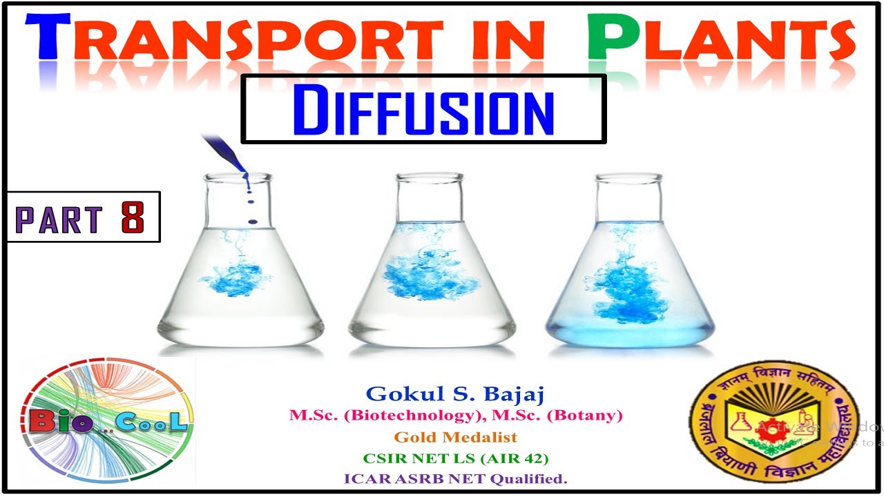 Transport in Plants: Part 8 - "Diffusion" - YouTube