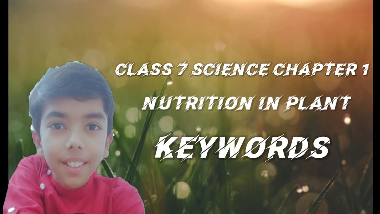 NCERT class 7 Science chapter 1 keywords nutrition in plant/class 7 ...
