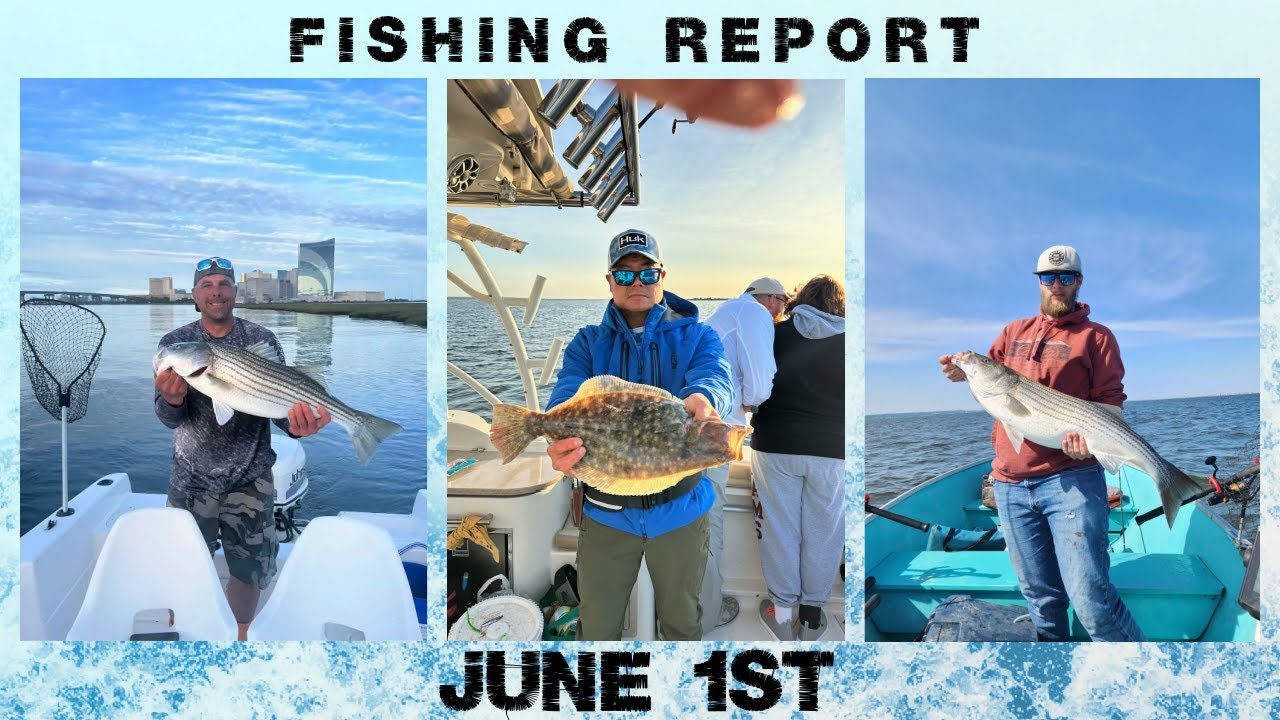 New Jersey Fishing Report June 1st #surffishing #fishingreport - YouTube