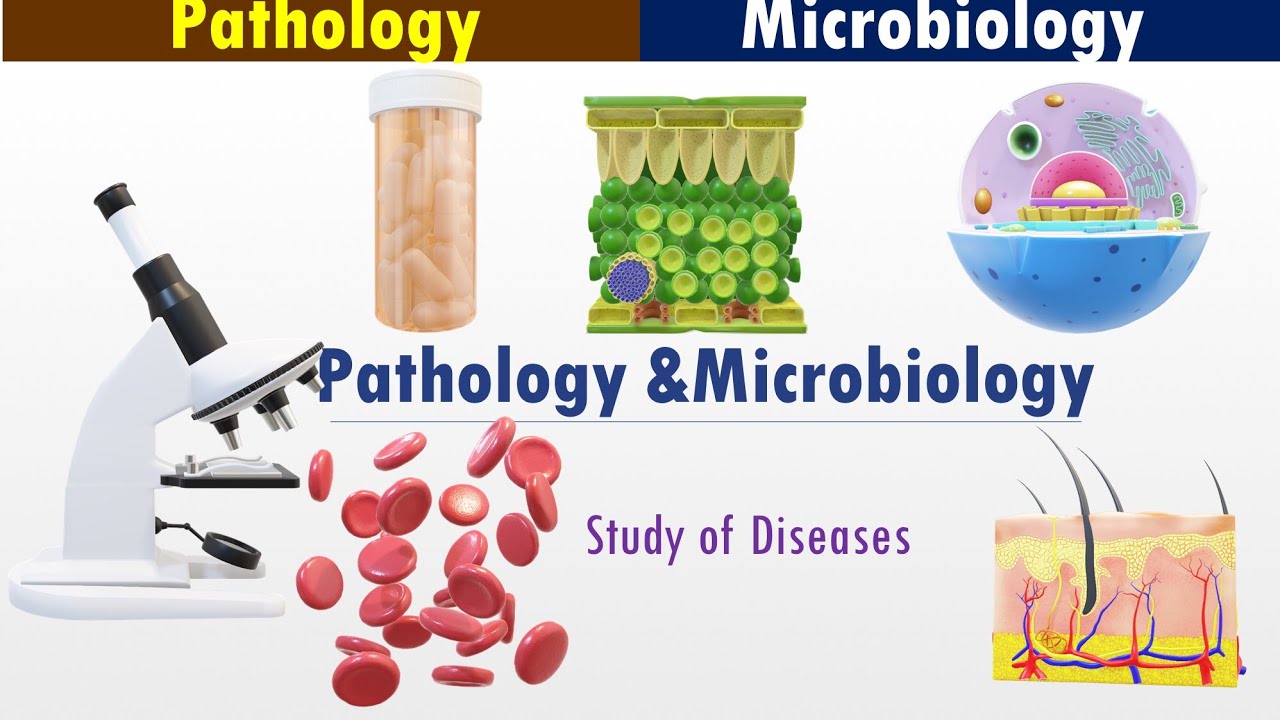 Introduction to Pathology and Microbiology | Pathology and Microbiology ...