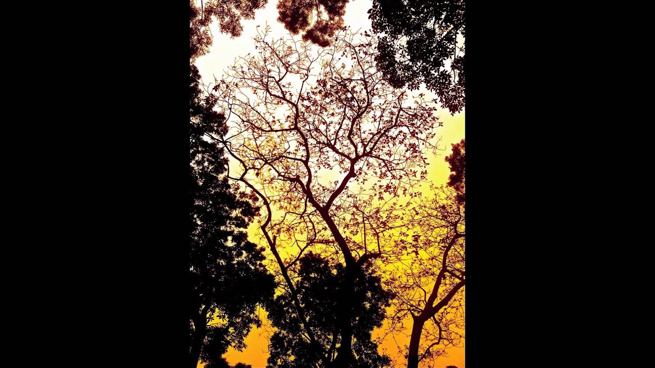 Tim Story - Untitled - YouTube