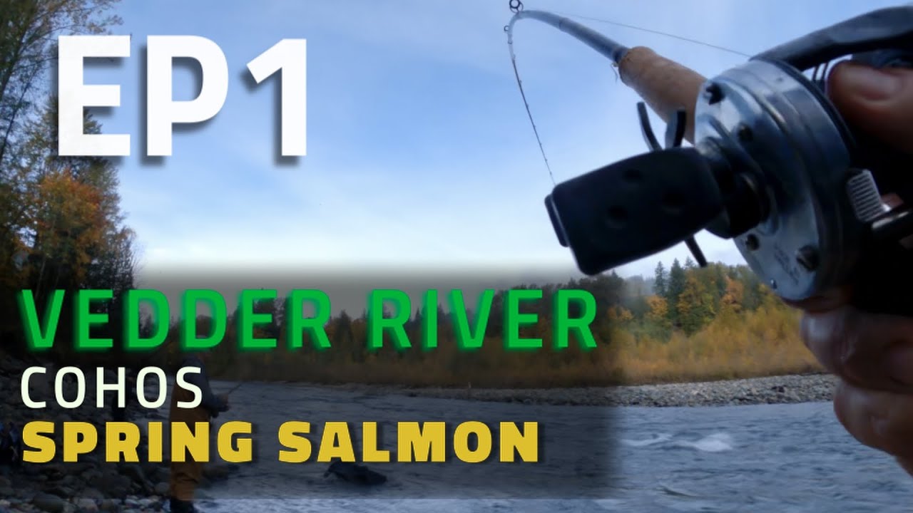 FISHING VLOG EP1 - COHO/SPRING SALMON - VEDDER RIVER OCTOBER 2023 - YouTube