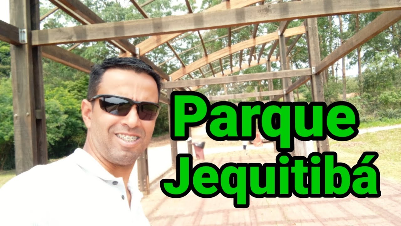 Parque Jequitibá.... Uma Parte da Mata Atlantica Dentro de São Paulo. - YouTube
