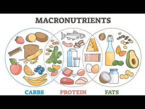 Macro Nutrients? The Building Blocks of Food|| Mastering Macros for ...