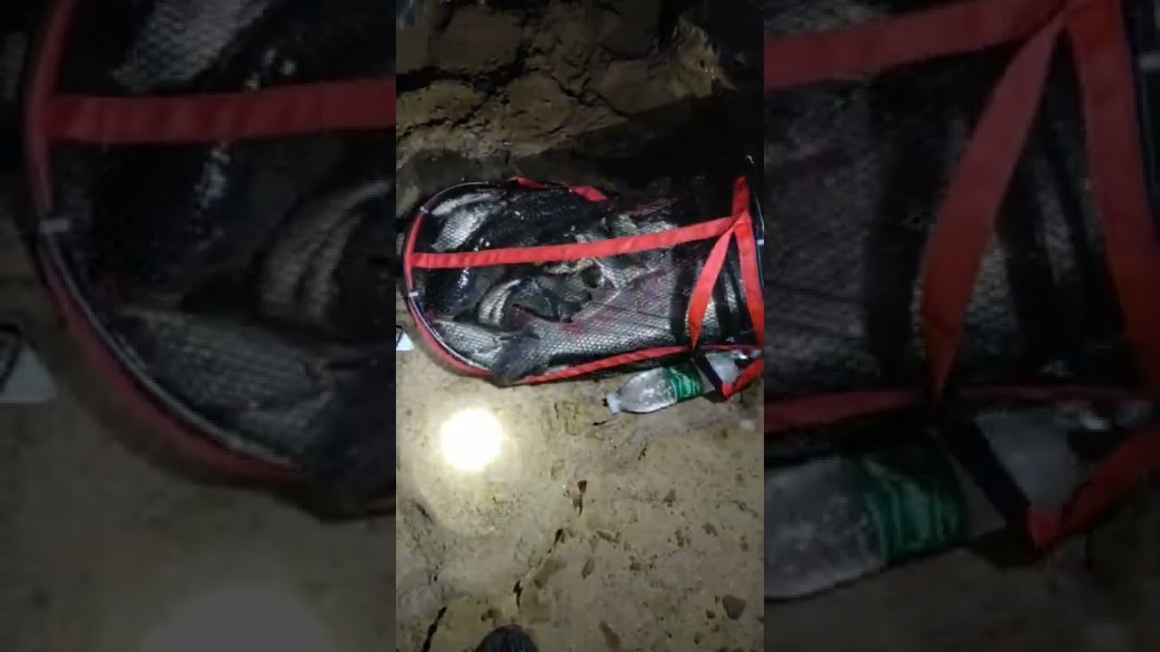 throw nets for fishing | throw cast net fishing | throwing fishing net ...