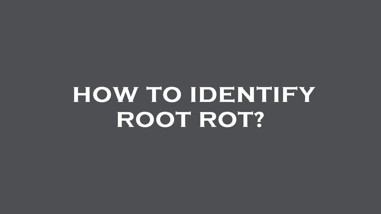 How to identify root rot? - YouTube