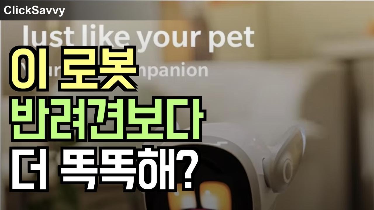이 로봇 반려동물, 진짜 강아지보다 낫다?! Loona vs EMO vs Eilik, 상상 초월 기능 대결! - YouTube