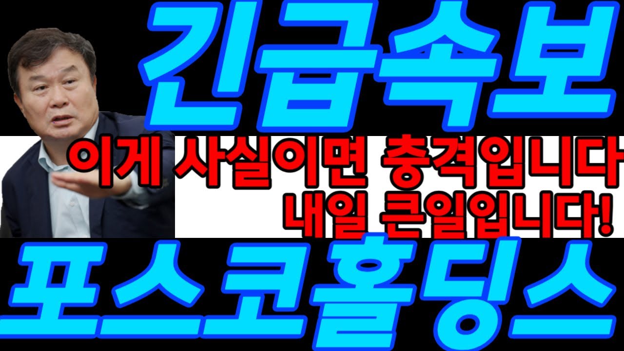 포스코홀딩스 새벽속보 2조투자 공매도파산 🔥마지막기회 무조건사세요 에코프로 에코프로비엠 포스코홀딩스 Posco홀딩스