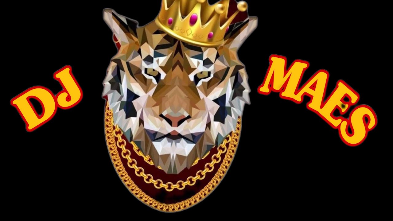 DJ TIGER MAES TIGER EYE SHOW ALIZE NINO COMO LARE JOE LOPEZ FEST 2023 ...