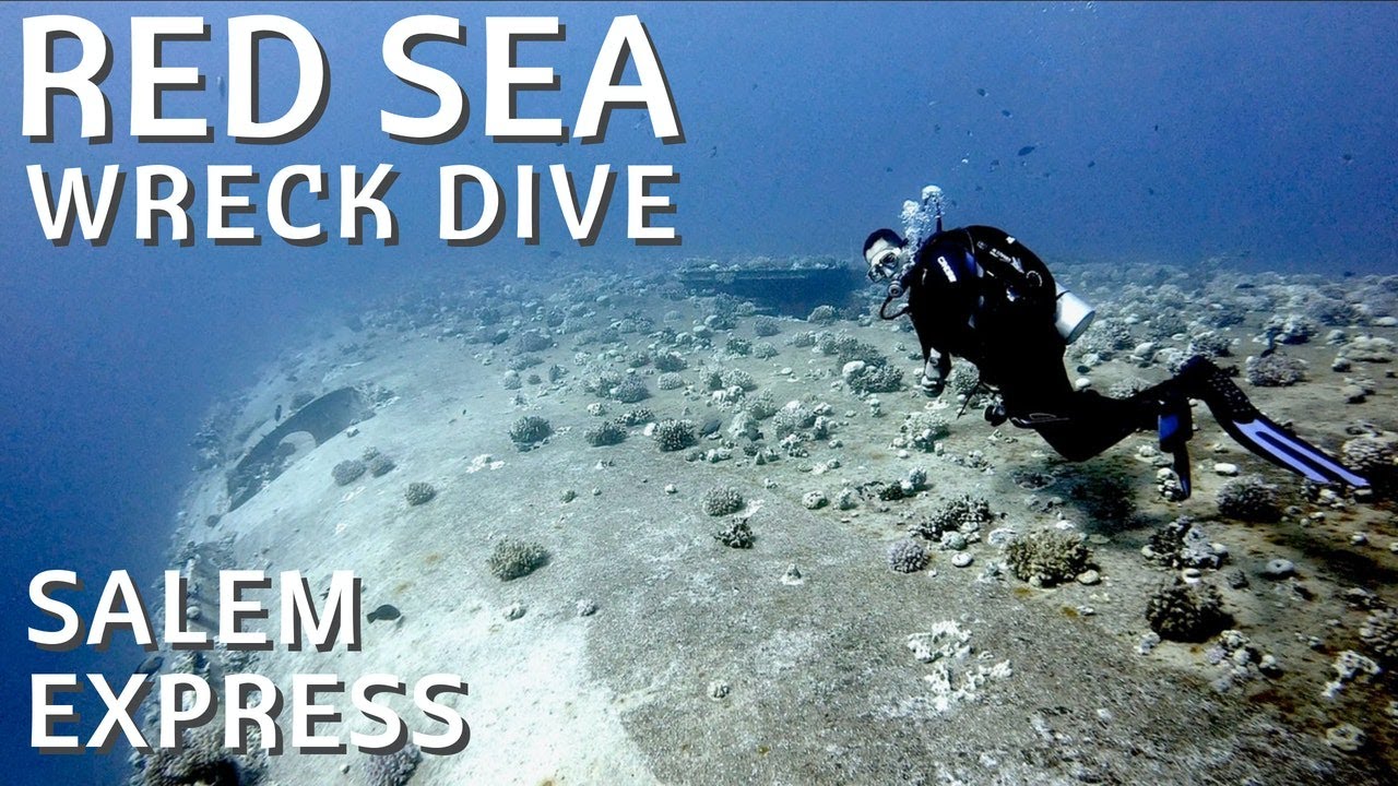 Red Sea | Diving | Salem Express - YouTube