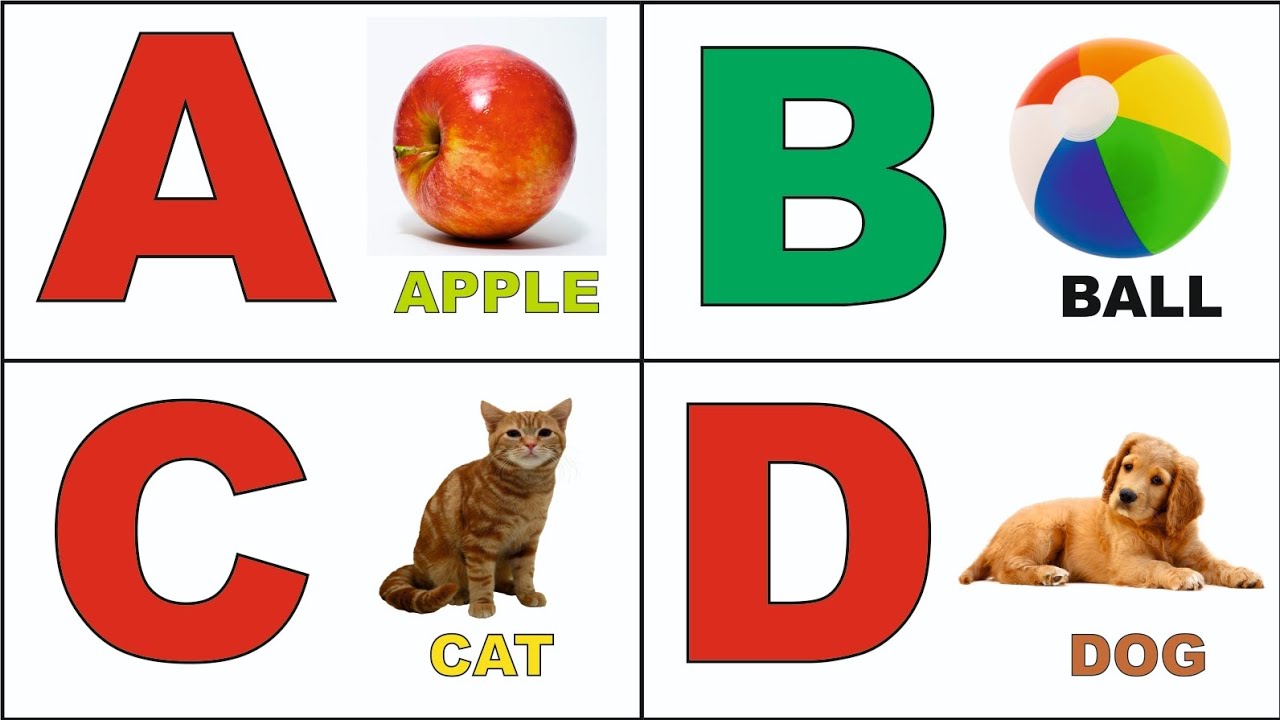 English alphabet | Learn Alphabet A to Z A B C Book Learning A for ...