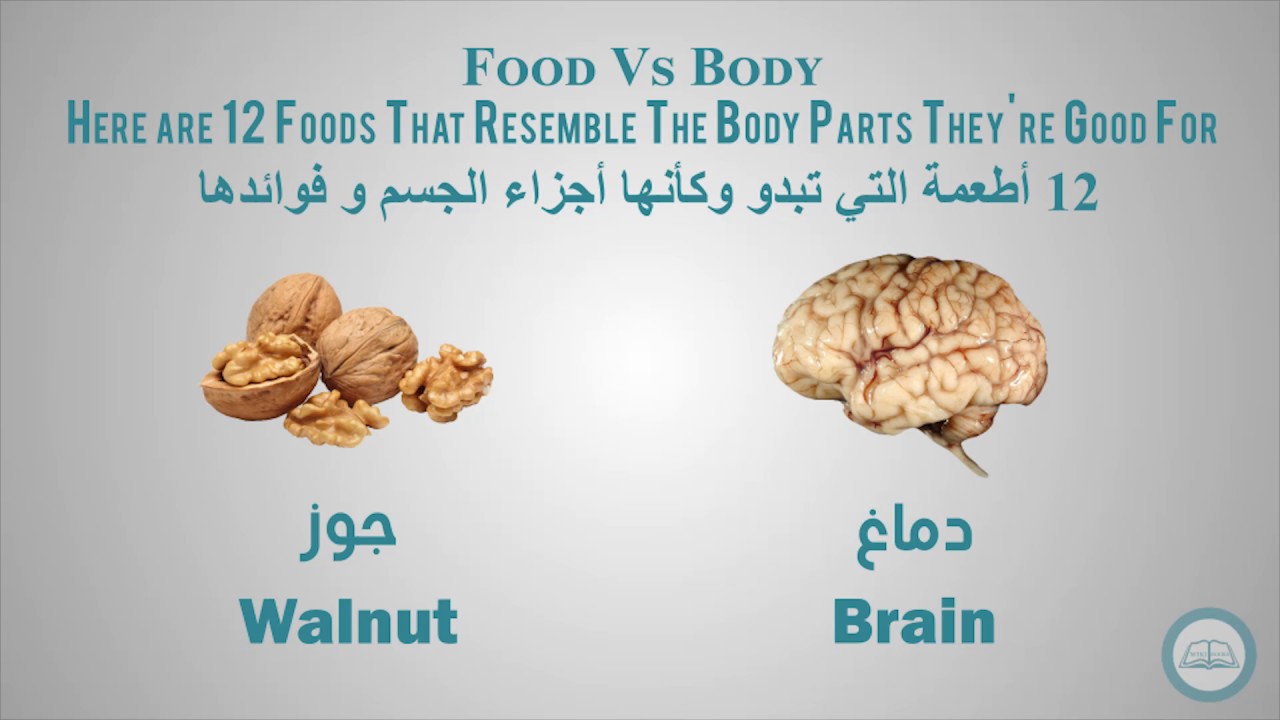 Food Vs Body | 12 Healthy Foods That Look Like The Body Parts They're ...