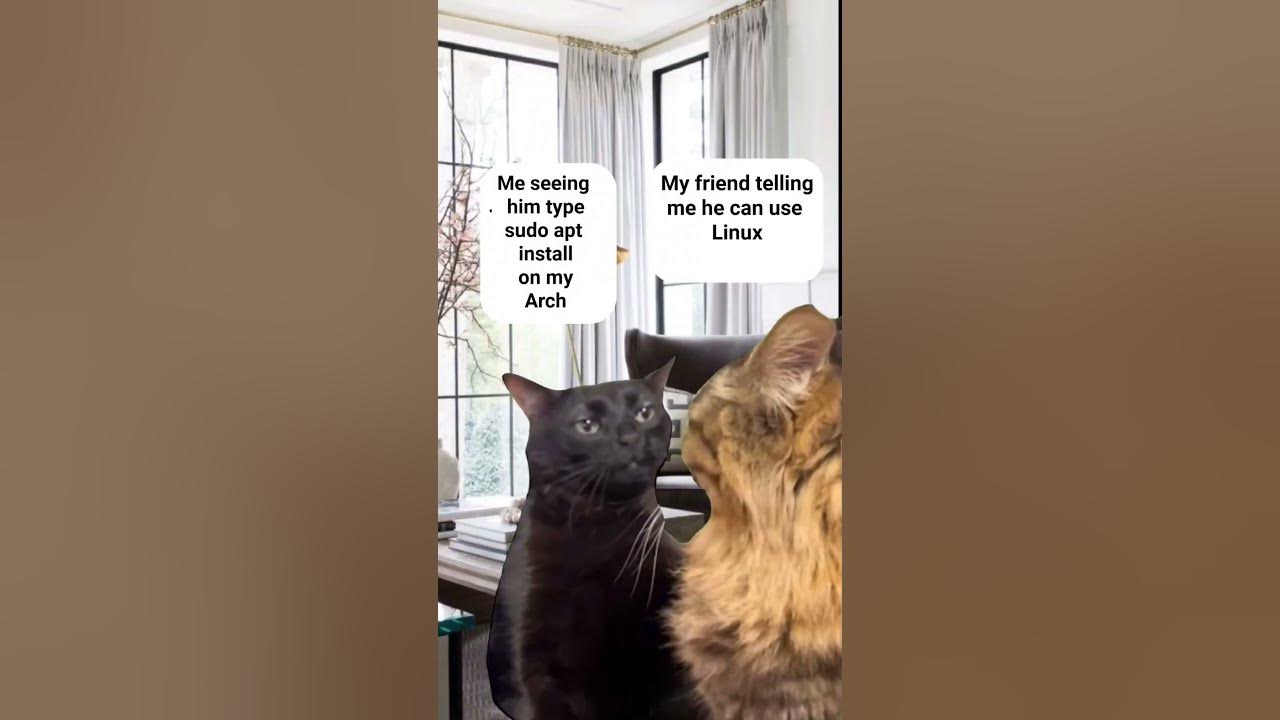 Average Ubuntu User Coding Linux Archlinux Hacker Codinglife Linuxgaming Ubuntulinux
