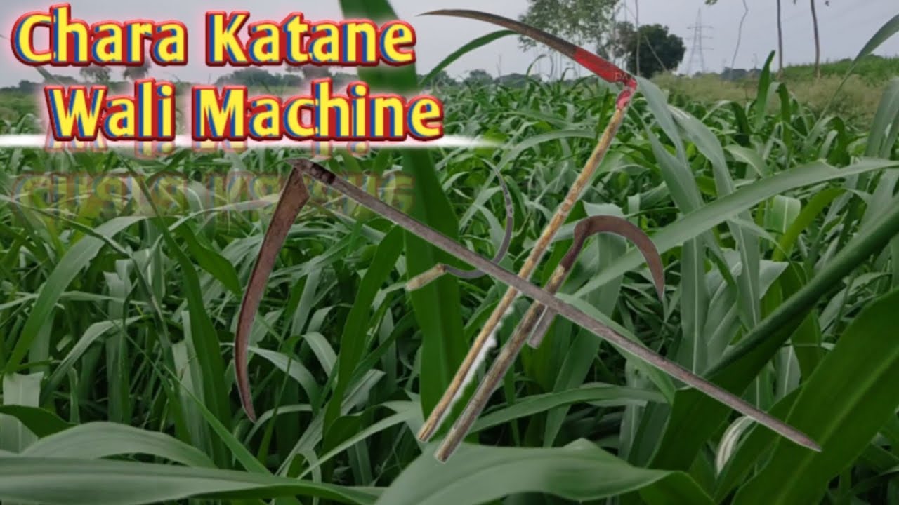 Chara Katane Wali Machine || Hath Se Chara Katane Wali Machine - YouTube
