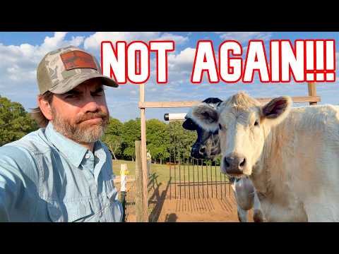 Just When You Think It’s All Figured Out, This Happens! 