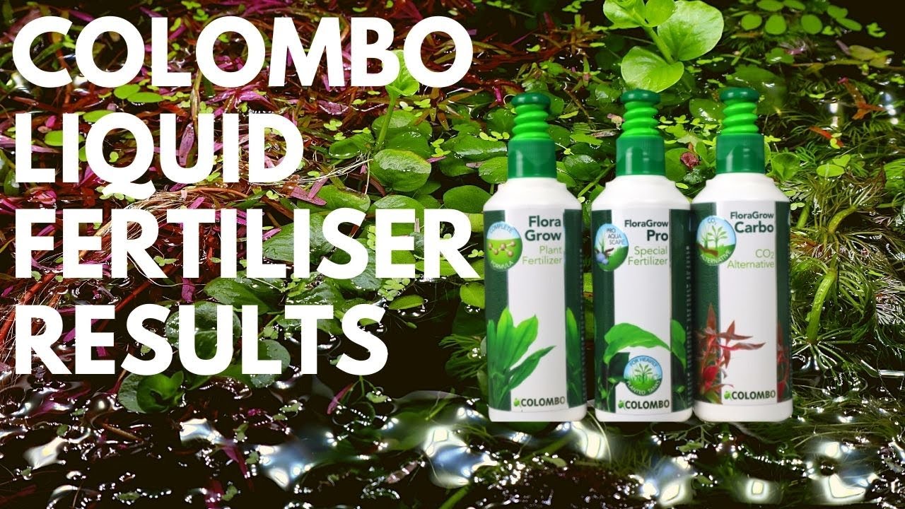 Testing and review of plant fertiliser by Colombo (2021) - YouTube