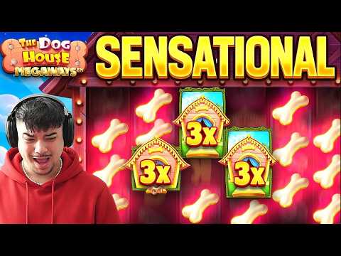 We HIT THE MOST INSANE Screen on Dog House Megaways?! (Bonus Buys)