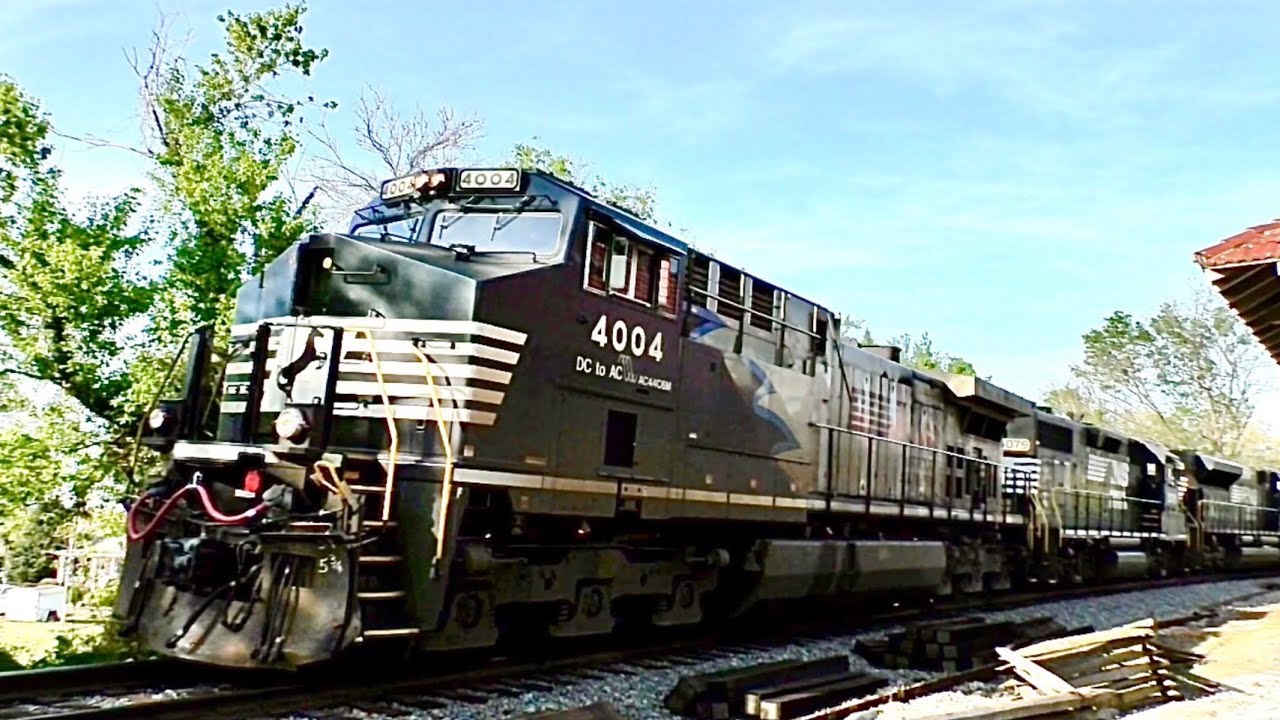 NS’s Black Mane at The Plains, Virginia - YouTube