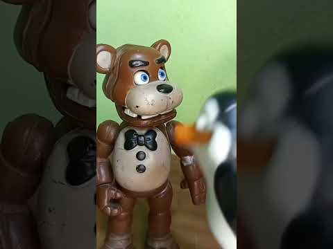 oso confesoso - YouTube
