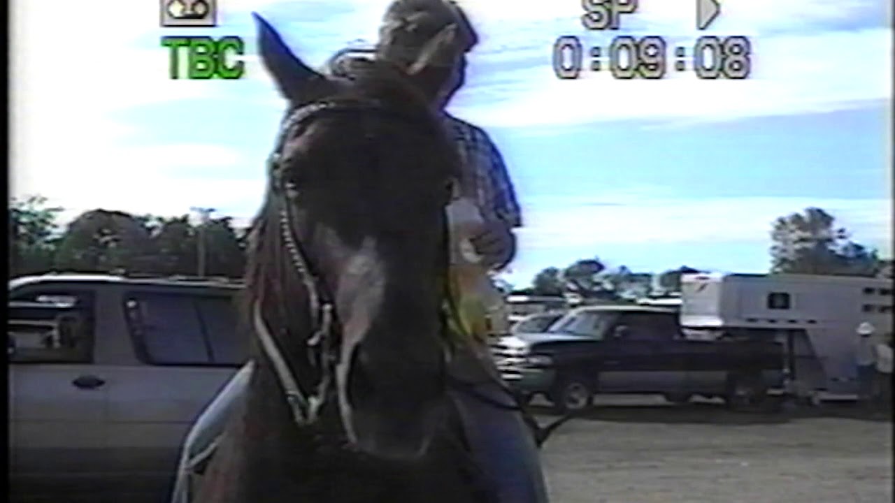 2003 Beaverton Fair - YouTube