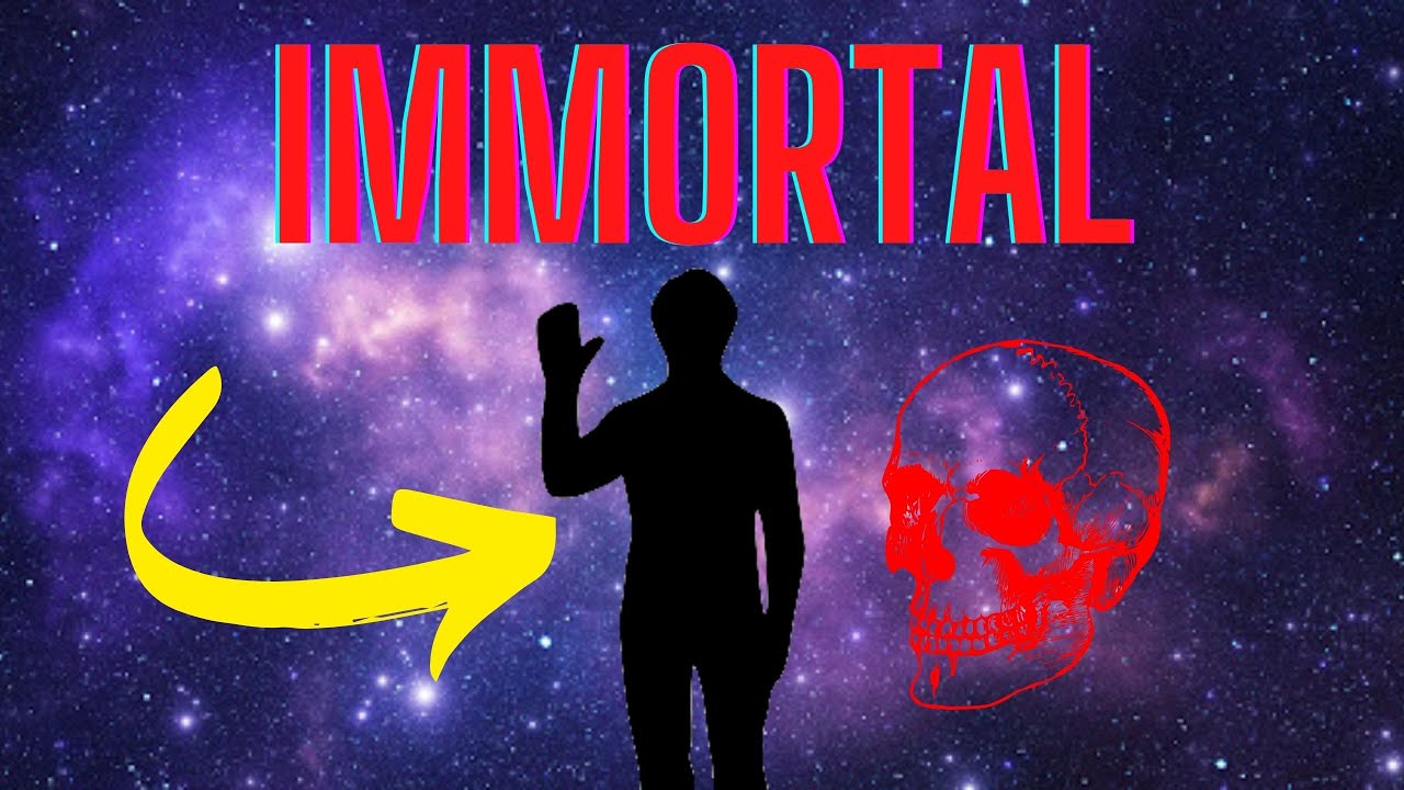Quantum Immortality Explained - YouTube