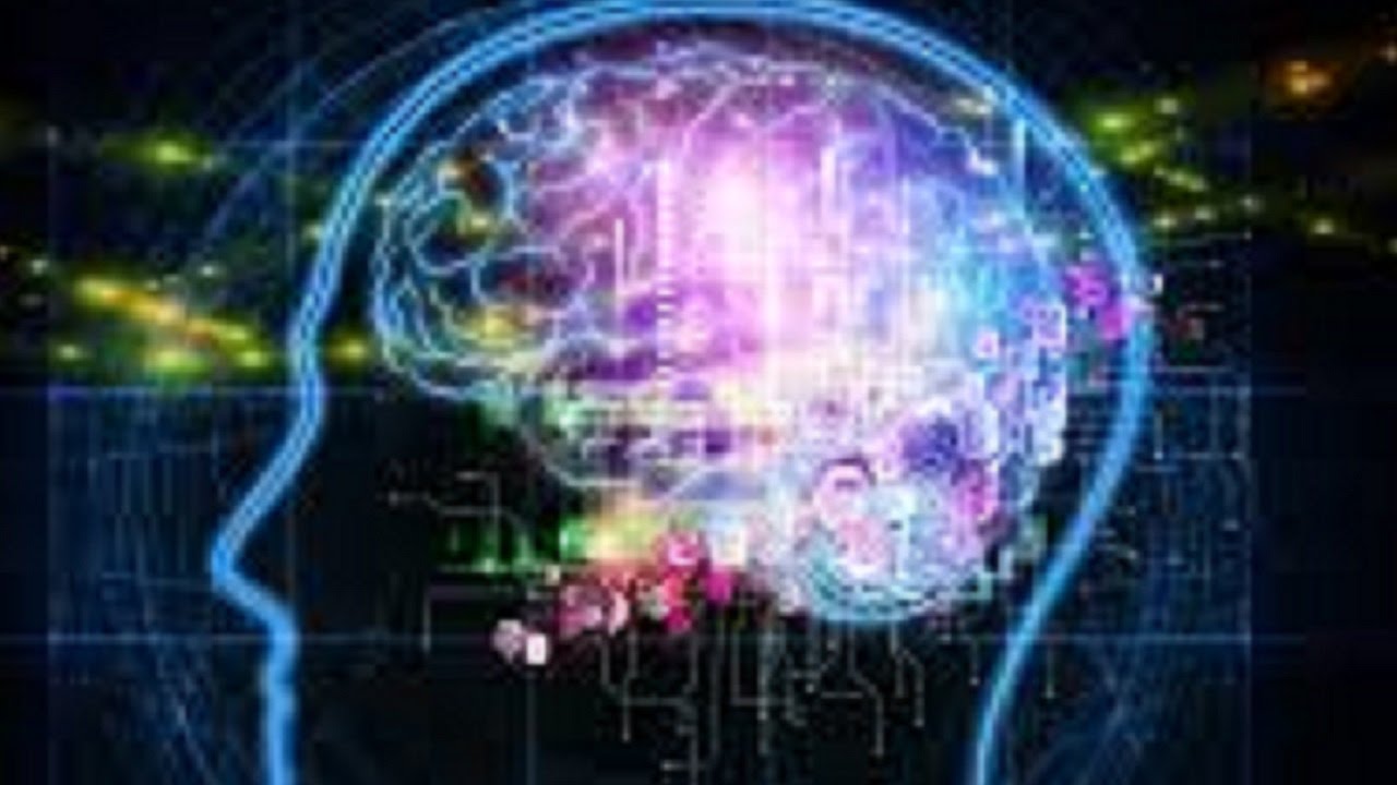 The Human Brain's Memory Could Store the Entire Internet - YouTube