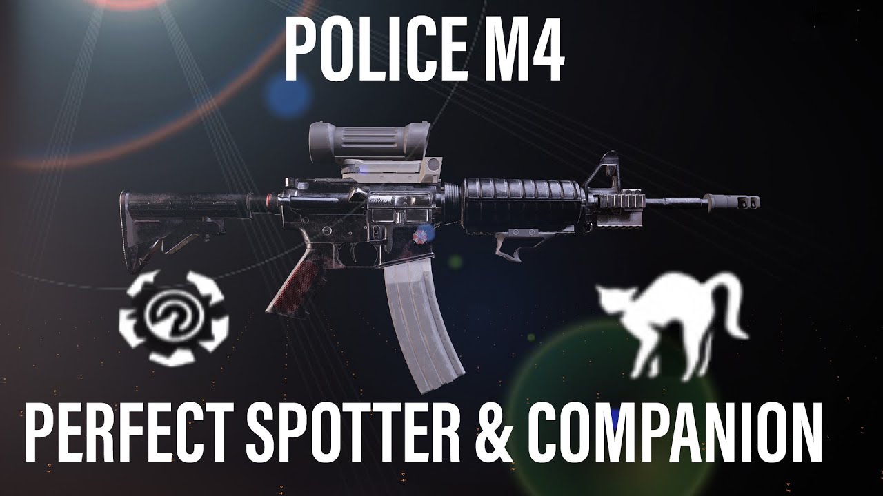 Division 2 - Perfect Spotter & Companion Build with Police M4. - YouTube