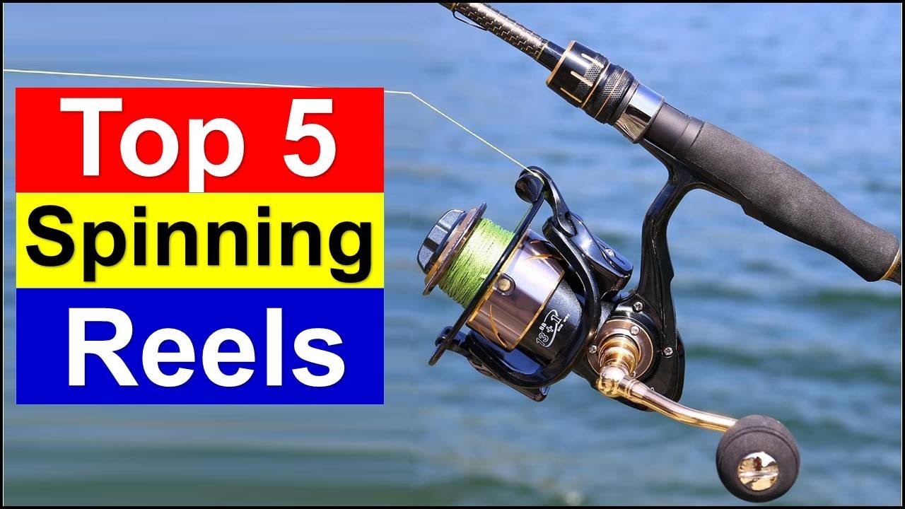 Best Spinning Reels in [2025 ] Top 5 - YouTube