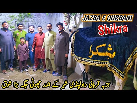 Home Qurbani Dera Shoqeeno Ka Rawalpindi_ Jazba E Qurbani_Bhatta Chowk Mandi