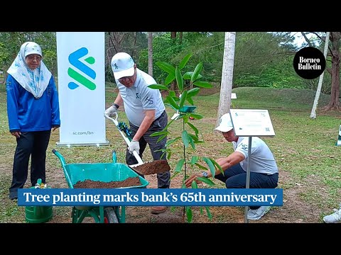 Tree planting marks bank’s 65th anniversary - YouTube