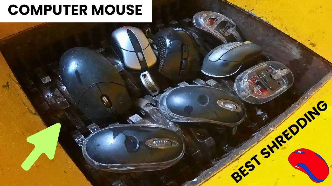 Computer mouse vs Shredder - YouTube