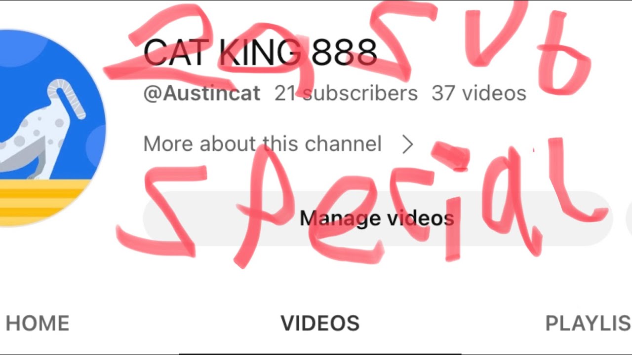CAT KING 888 20 subscribers special - YouTube