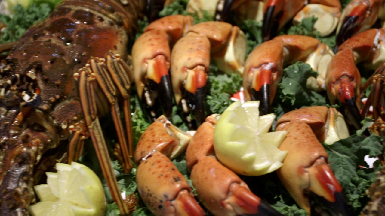 PINCHERS -- Stone Crab - YouTube