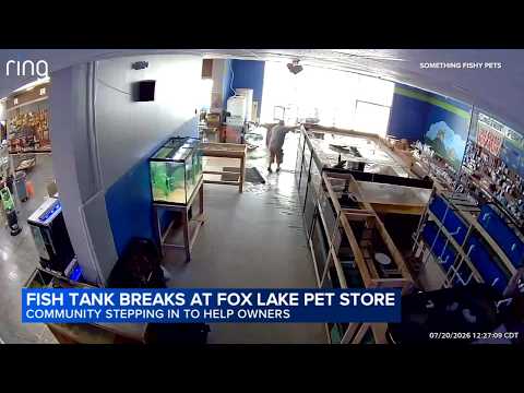 Massive fish tank shatters at north suburban store