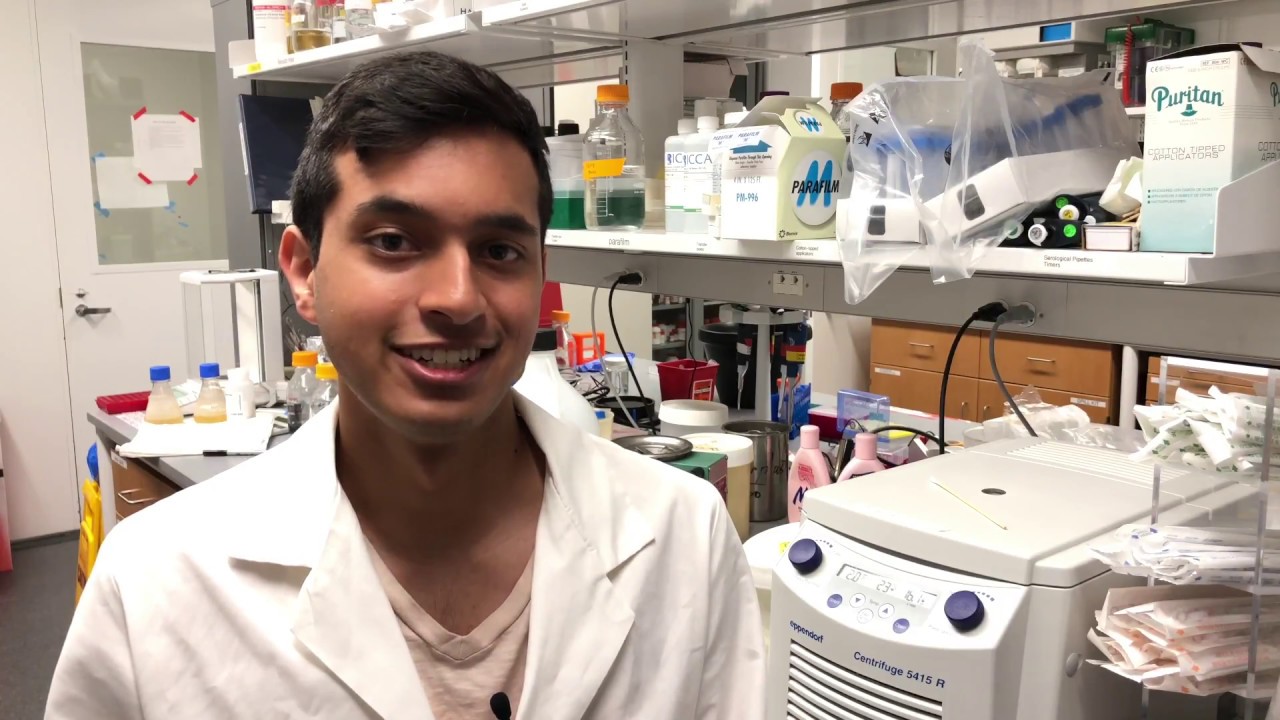 Cornell BME Undergraduate Spotlight: Rohan Roy - YouTube