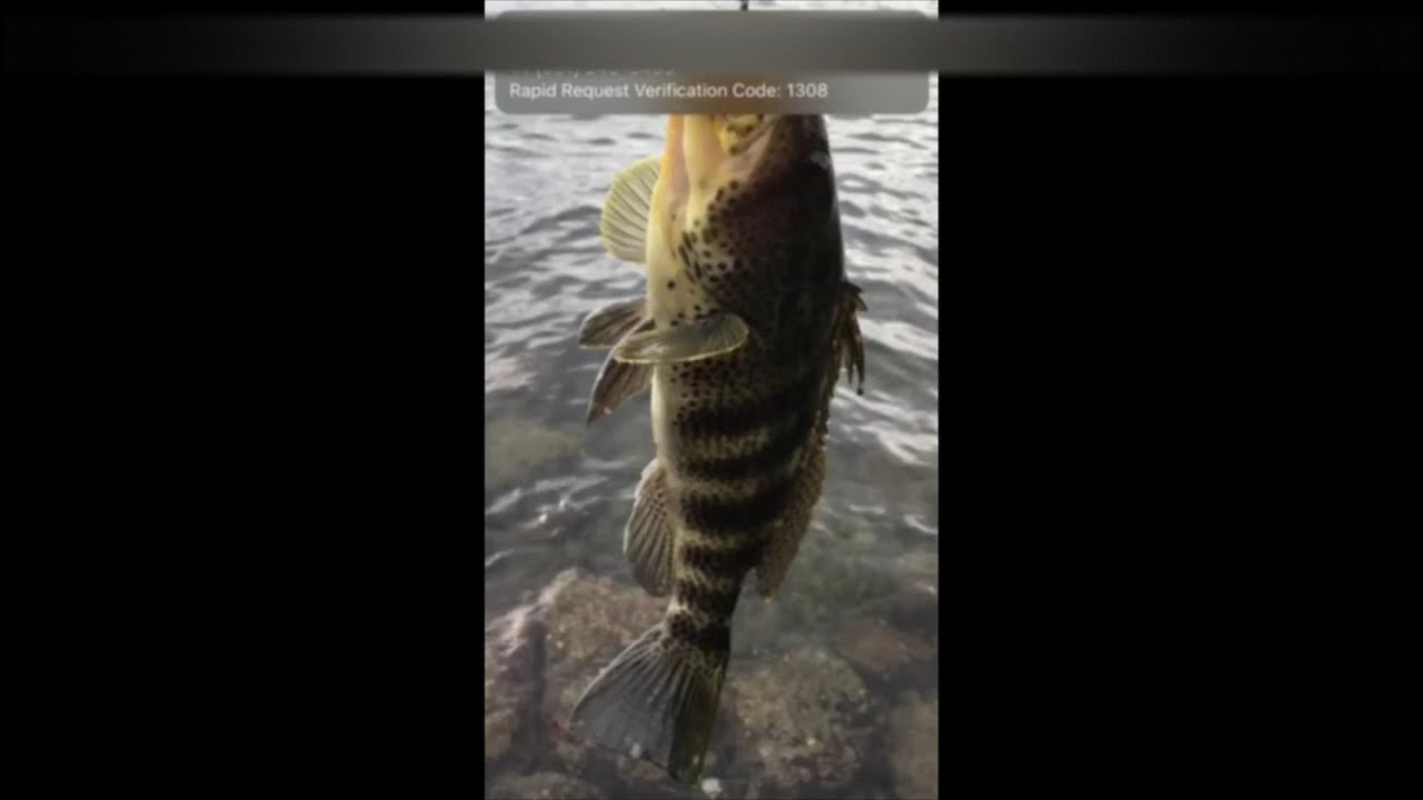 Rapid Request by GridForce - Virtual Hackathon Submission - YouTube