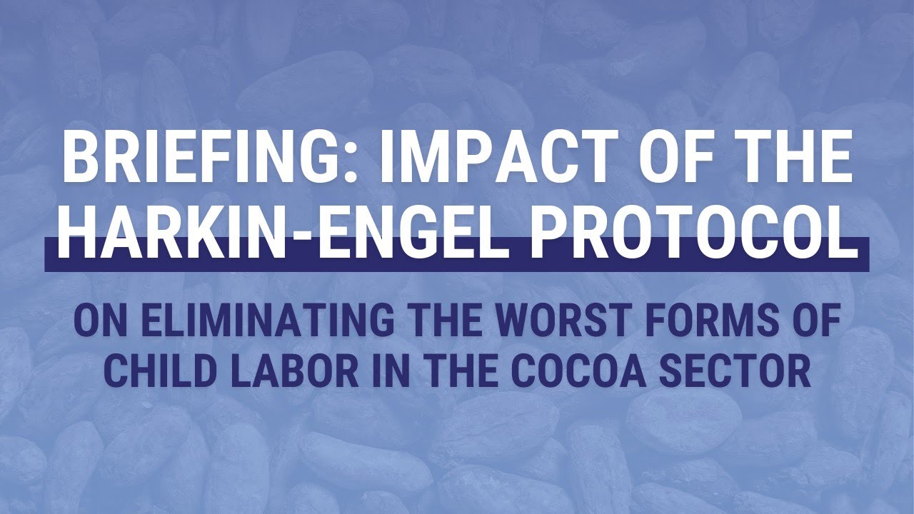 The Impact of the Harkin-Engel Protocol: Eliminating Worst Forms of ...