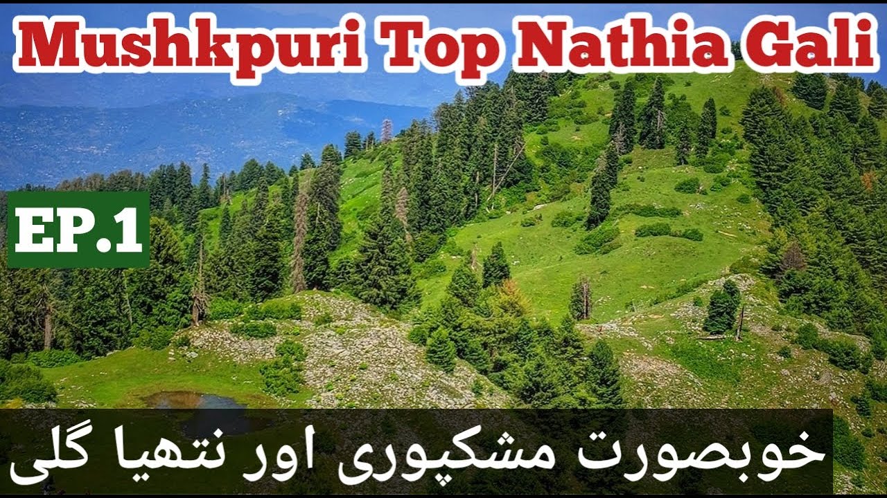 Mushkpuri Track Murree with Kids EP-1 | Mushkpuri top | Nathia Gali ...