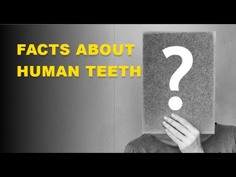 Amazing Must Know Facts About Human Teeth! - YouTube